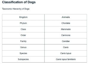 What is the Scientific Name of Dog: Discover True Taxonomy